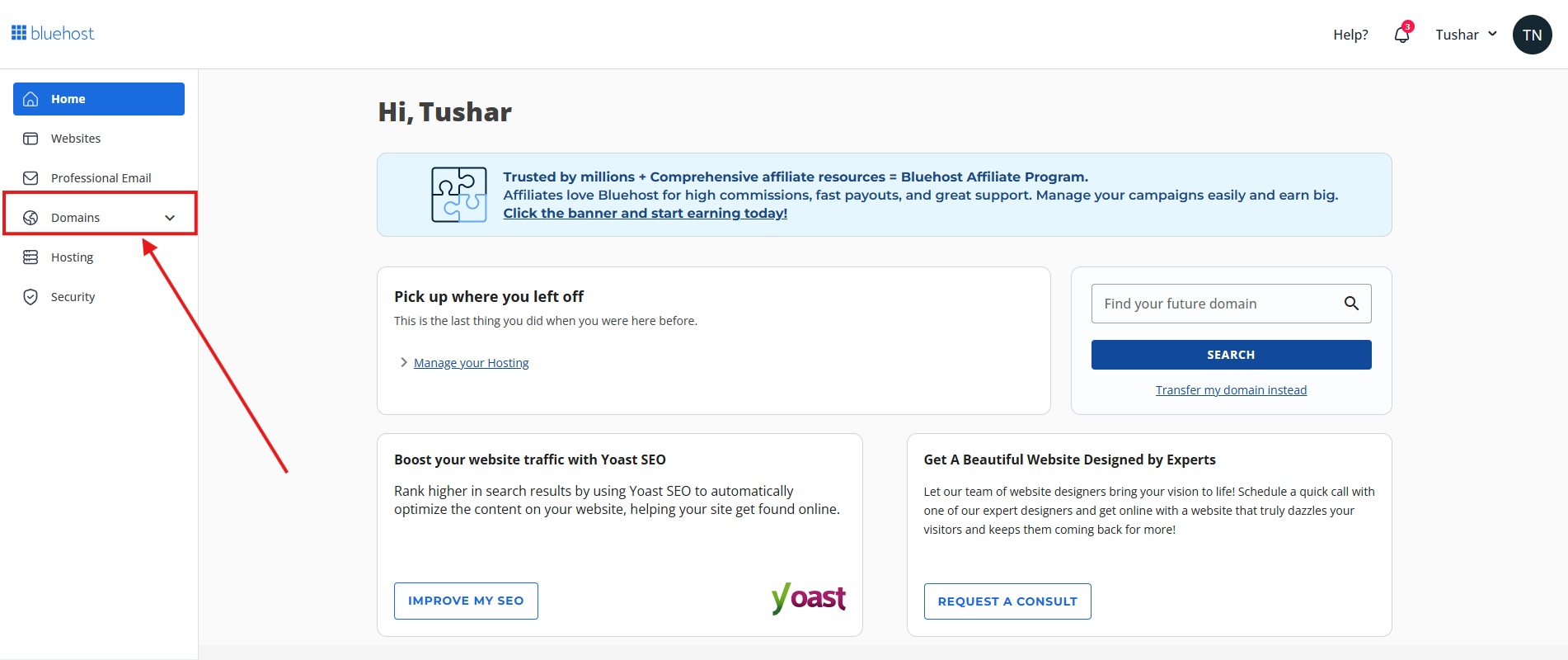Setup Titan MX and TXT records for Bluehost – Titan Mail